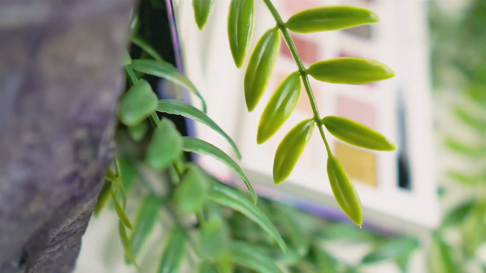 Enchanted Eyeshadow Palette | Color-Shifting Eyeshadow Set