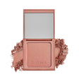 POWDER BLUSH