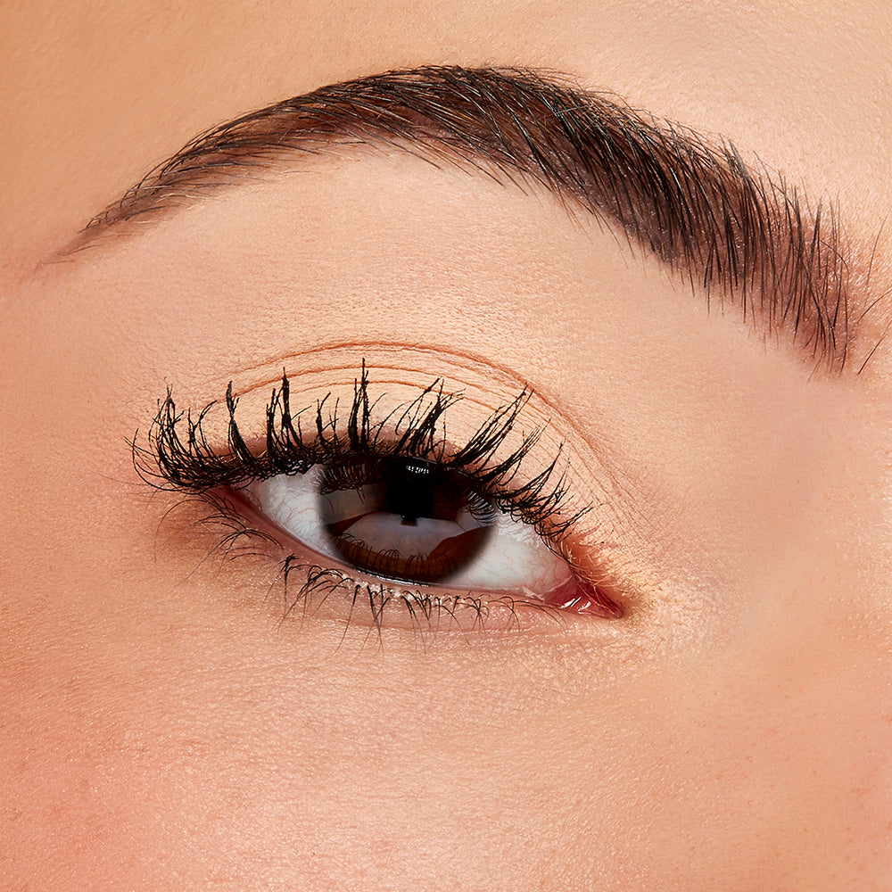 Eyeshadow Base Primer | Eye Makeup Primer | All-Day Wear